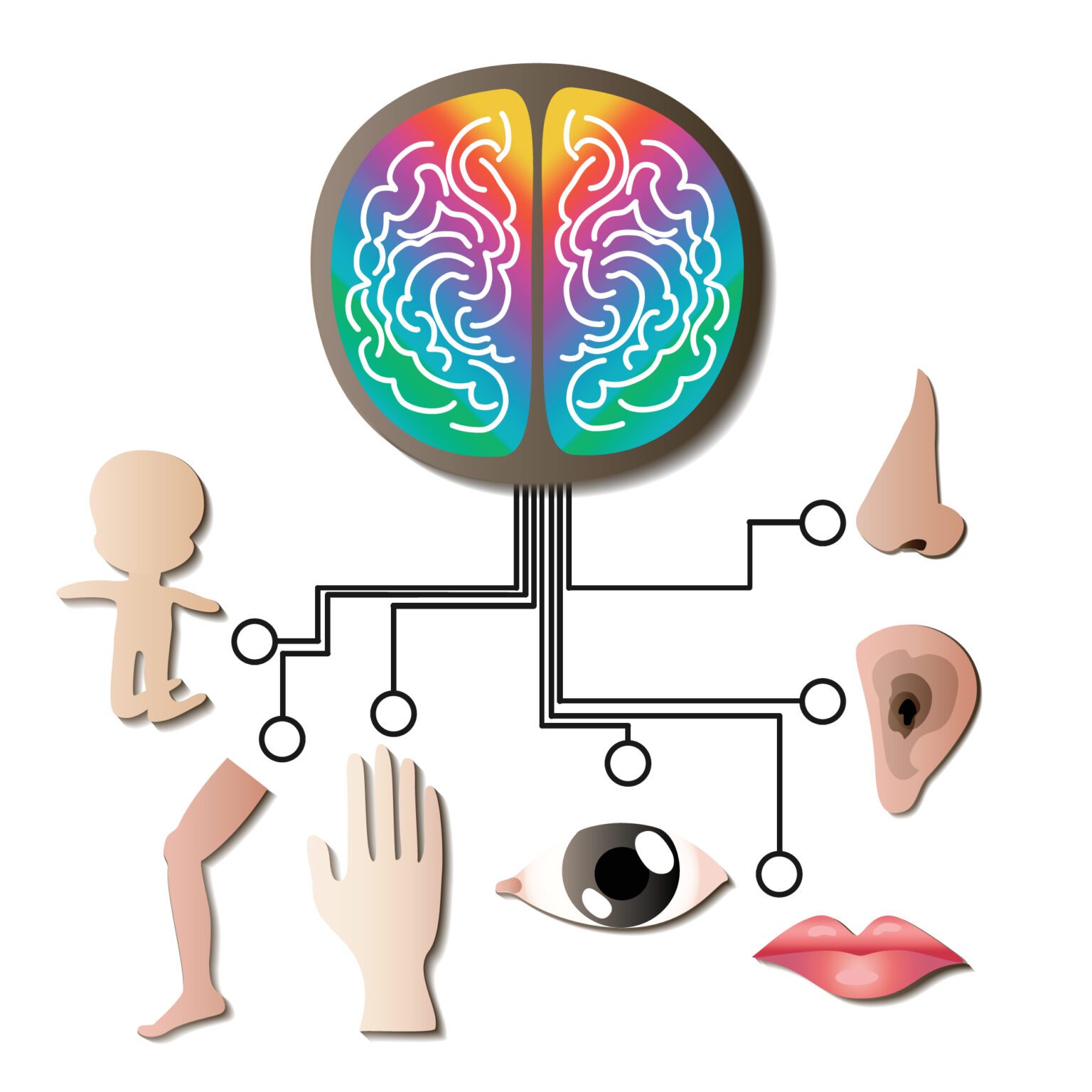 Sensory Processing and Autism: Understanding Sensitivities, Overload ...